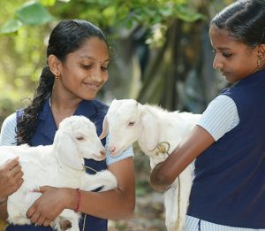 Kerala State – Commission for Protection of Child Rights